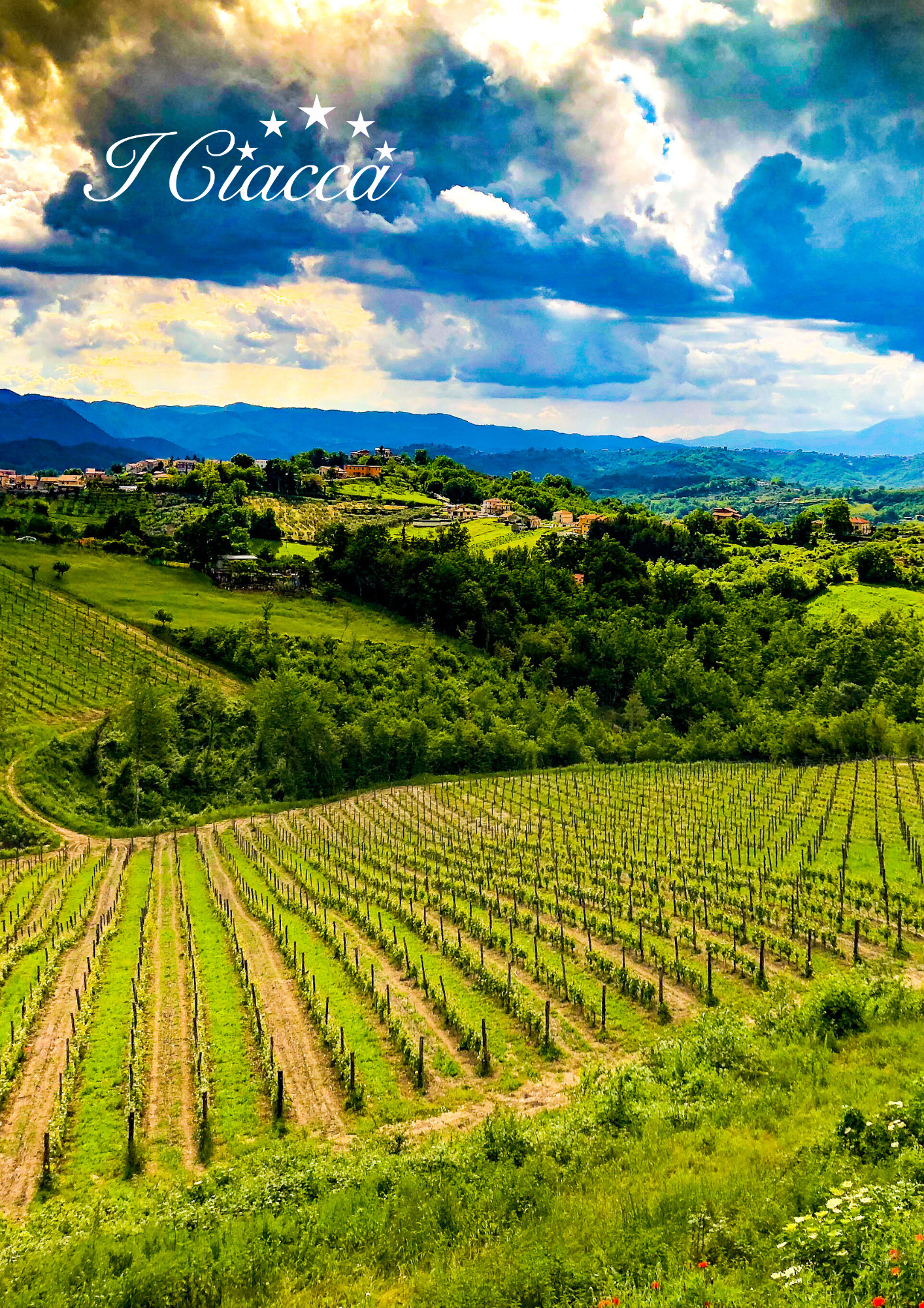 I Ciacca Organic Winery - Picinisco – I Ciacca, Picinisco